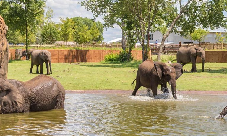 Wichita Wonders: Unmissable Attractions for Your Itinerary – Visit ...